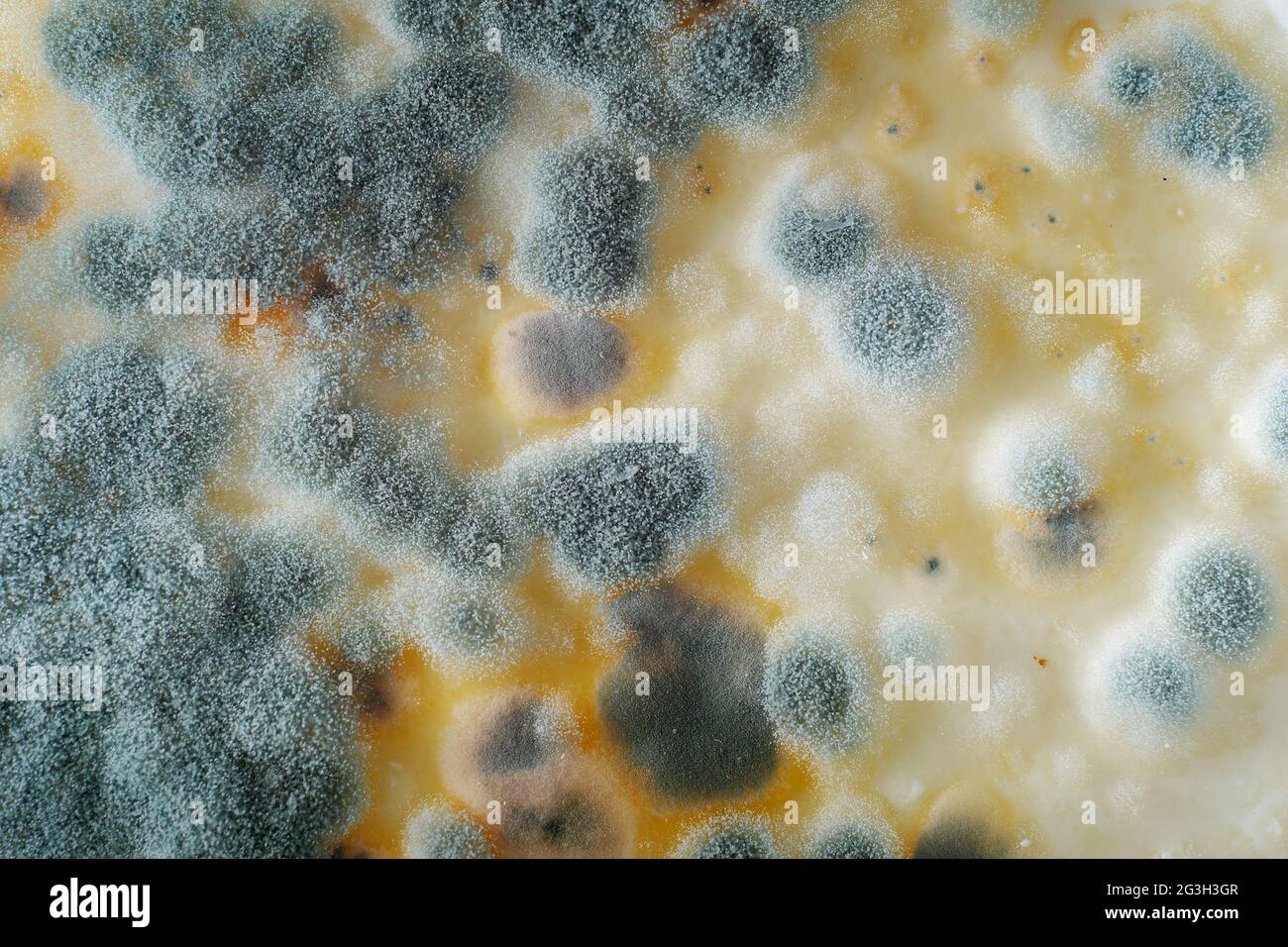 Spoiled milk hi-res stock photography and images - Alamy