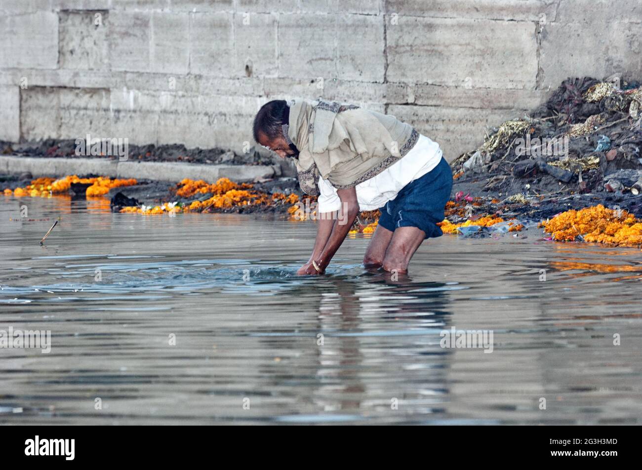 Morning bather in the holy River Ganges at Varanasi, Utter Pradesh ...