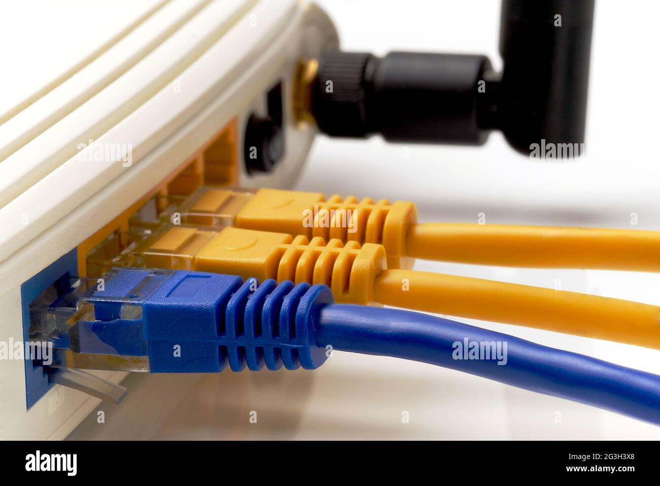 close up on three network cables connected to WAN and LAN ports on wi ...