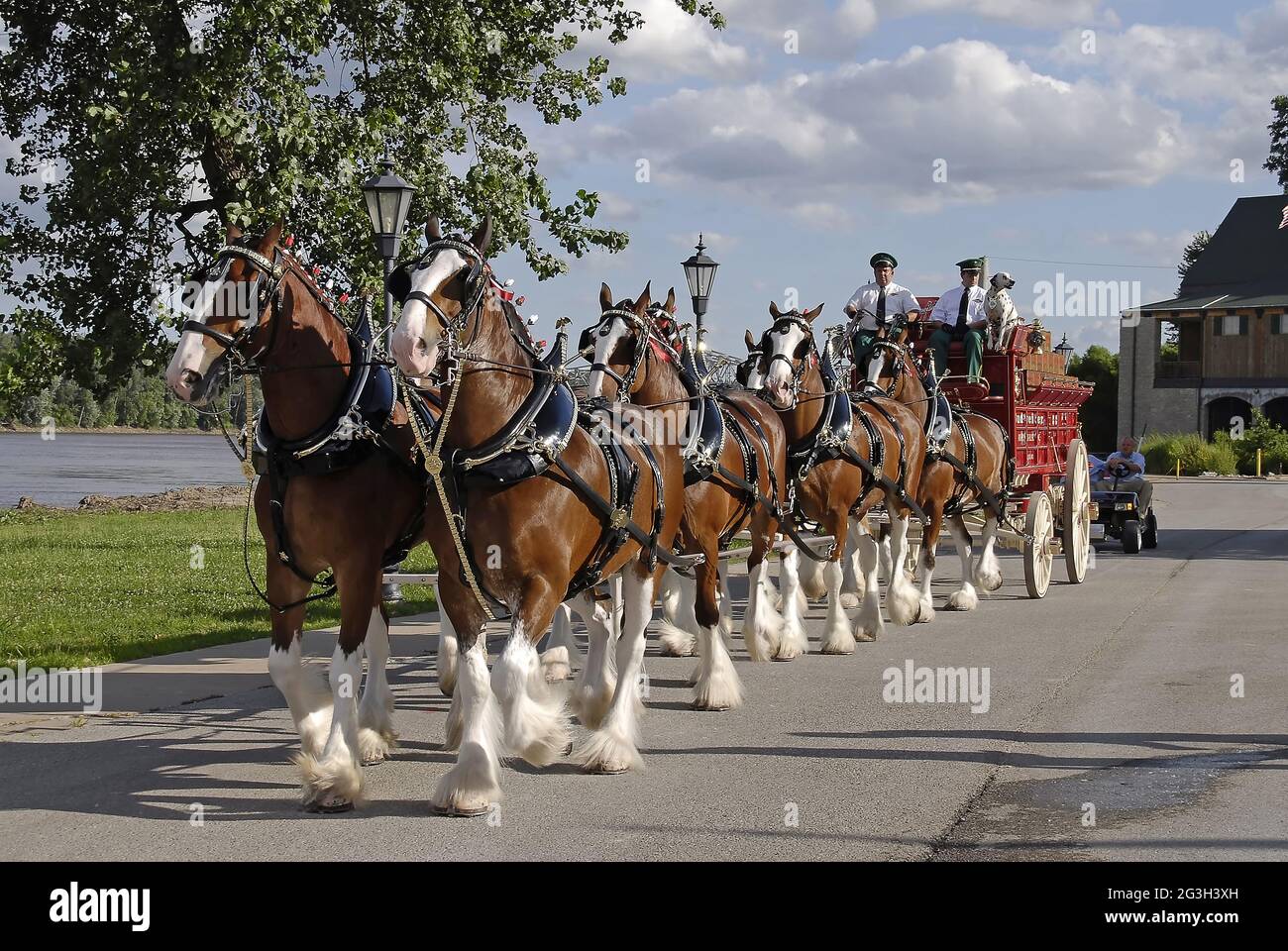 Beer wagon hi-res stock photography and images - Alamy