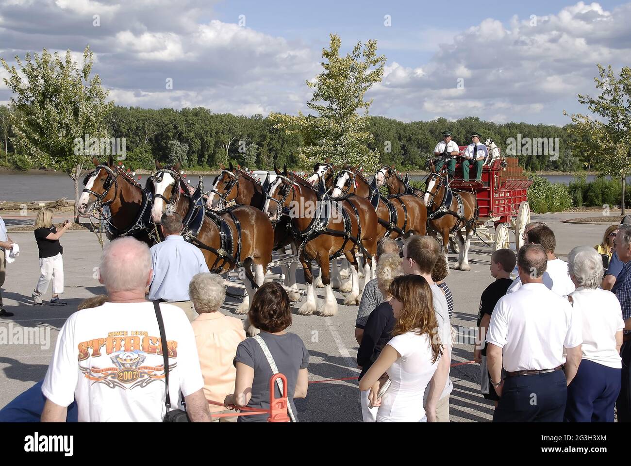 ST. CHARLES, UNITED STATES - Jul 18, 2009: The Budweiser Clydesdale ...