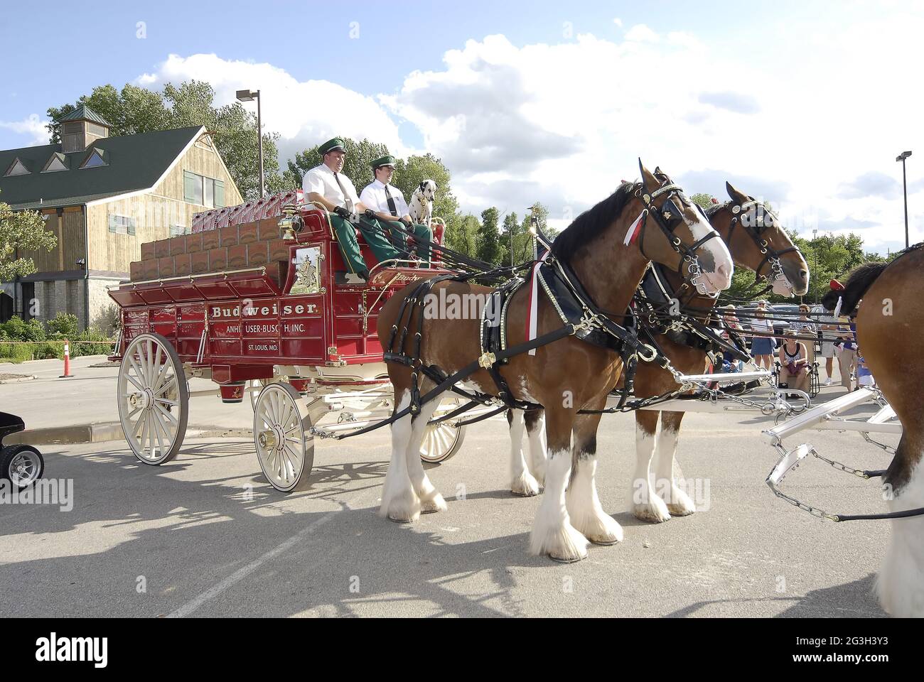 Budweiser Clydesdale Horses High Resolution Stock Photography and ...