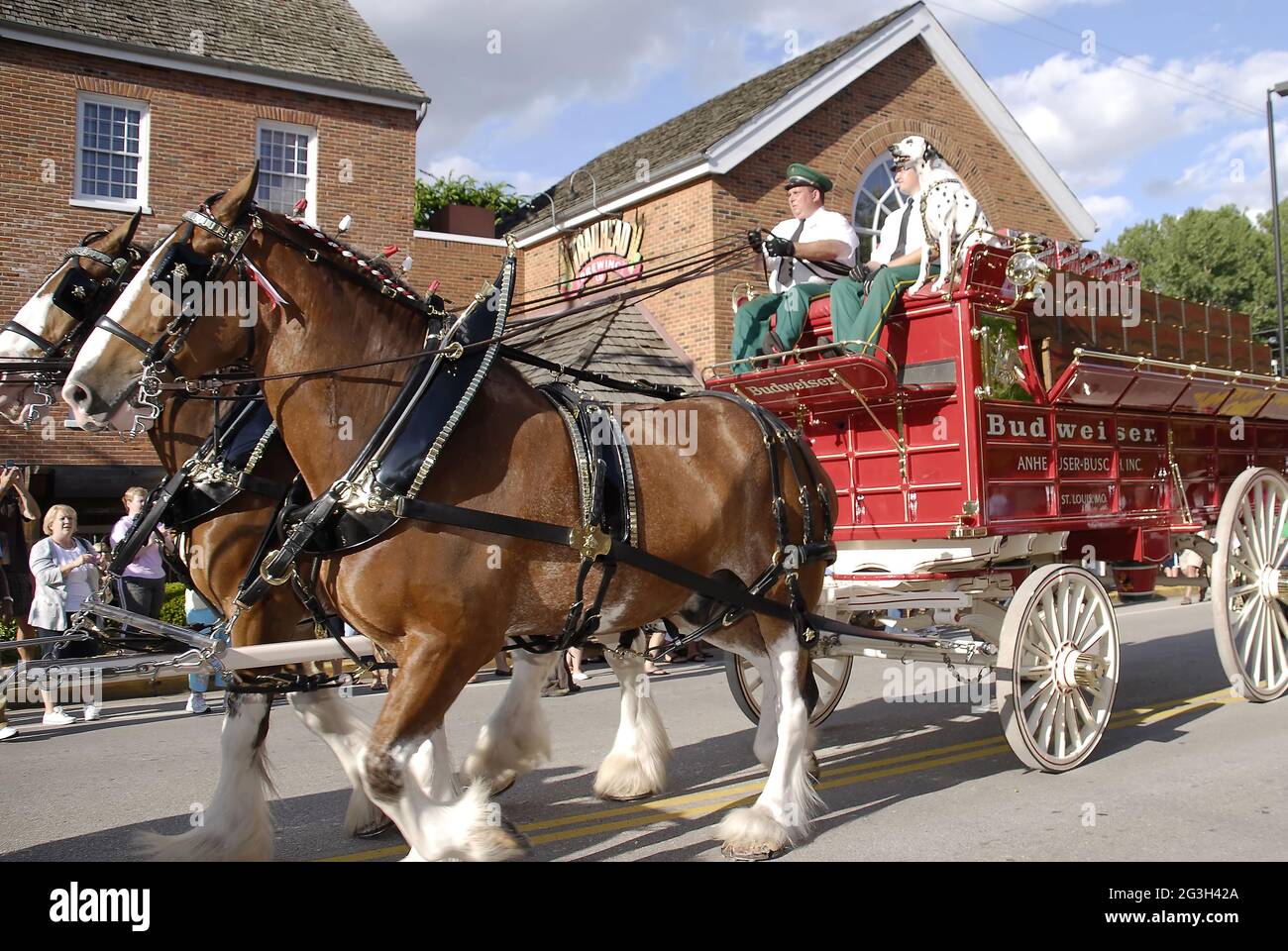ST. CHARLES, UNITED STATES - Jul 18, 2009: The Budweiser Clydesdale ...