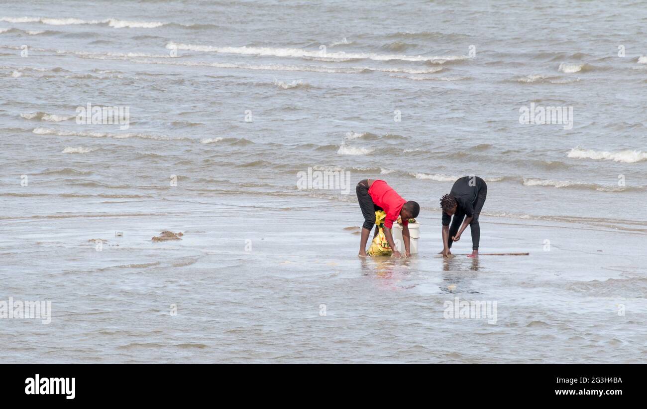 Locals collecting shellfish along the beach Stock Photo - Alamy