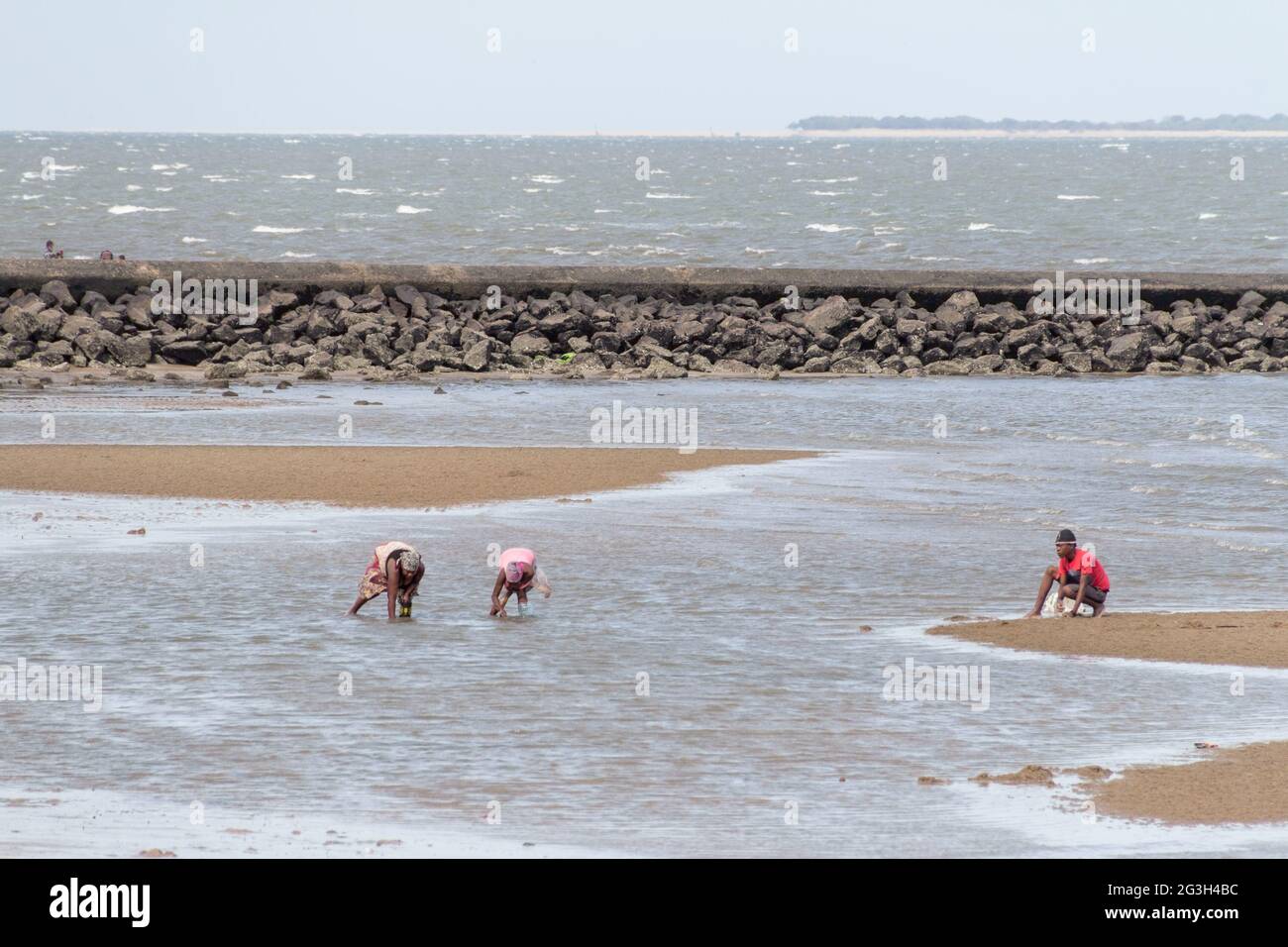 Collecting fishing hi-res stock photography and images - Alamy