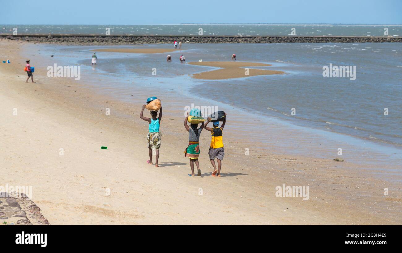 Locals collecting shellfish along the beach Stock Photo - Alamy