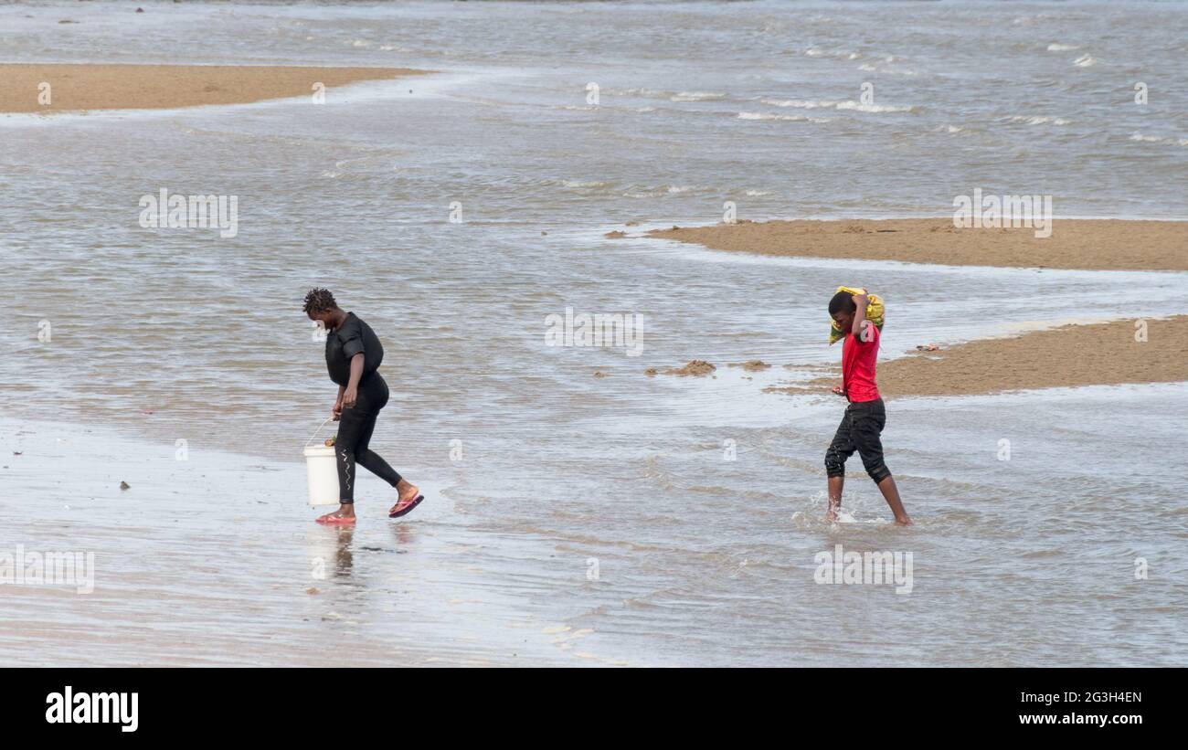 Locals collecting shellfish along the beach Stock Photo - Alamy