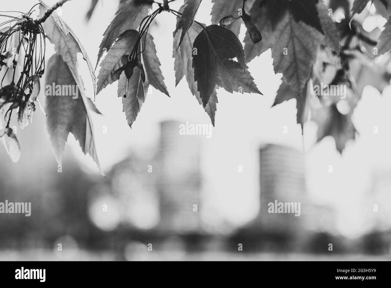 USA flag in the upper peninsula Michigan Stock Photo - Alamy