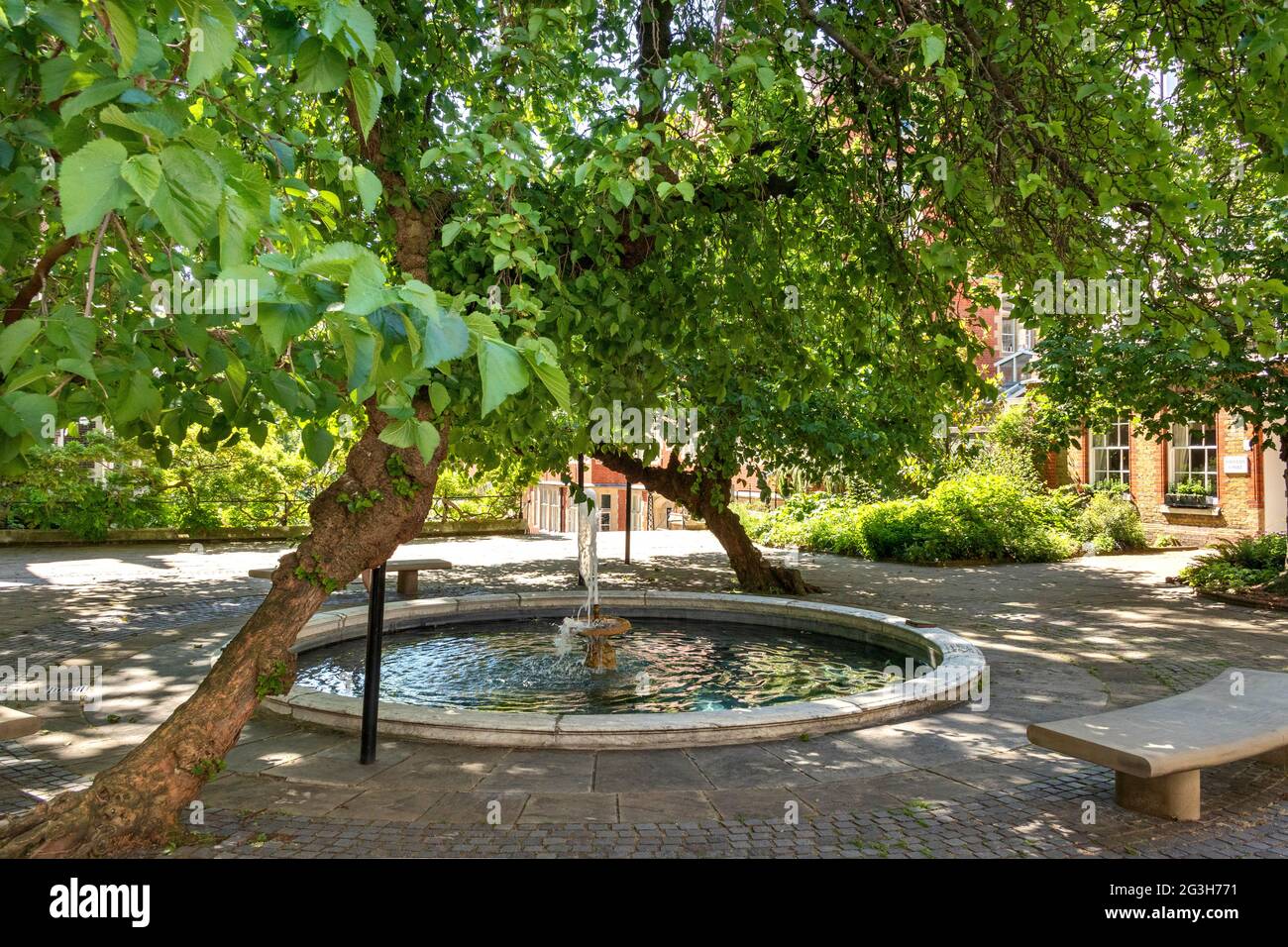 LONDON ENGLAND MIDDLE TEMPLE AN ANCIENT MULBERRY TREE SHADED COURT WITH ...