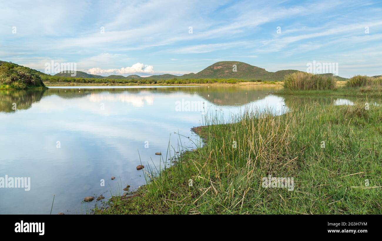 Mokolodi Nature Reserve Stock Photo - Alamy