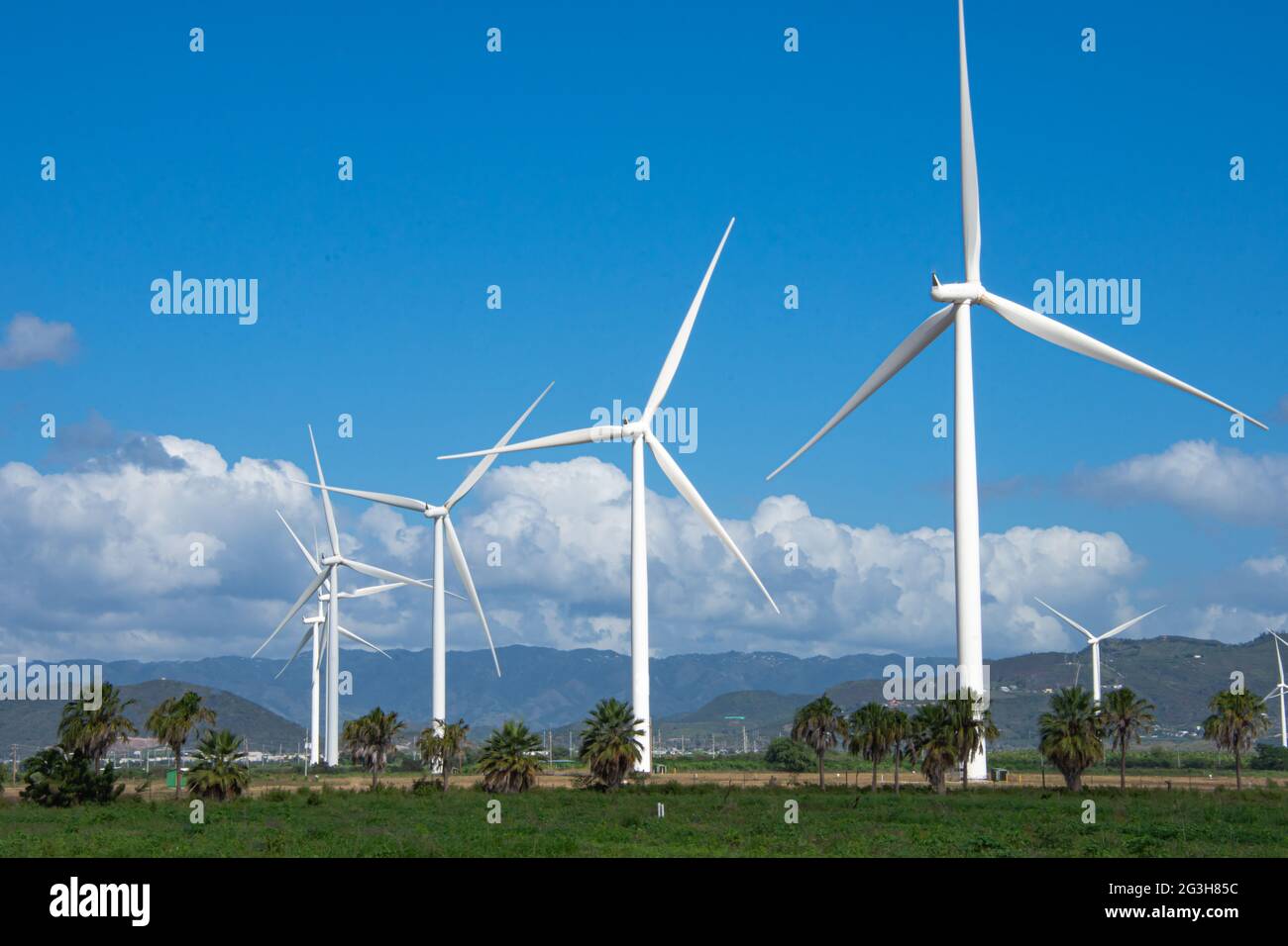 A wind farm in Puerto Rico generating clean, renewable energy. Copy ...