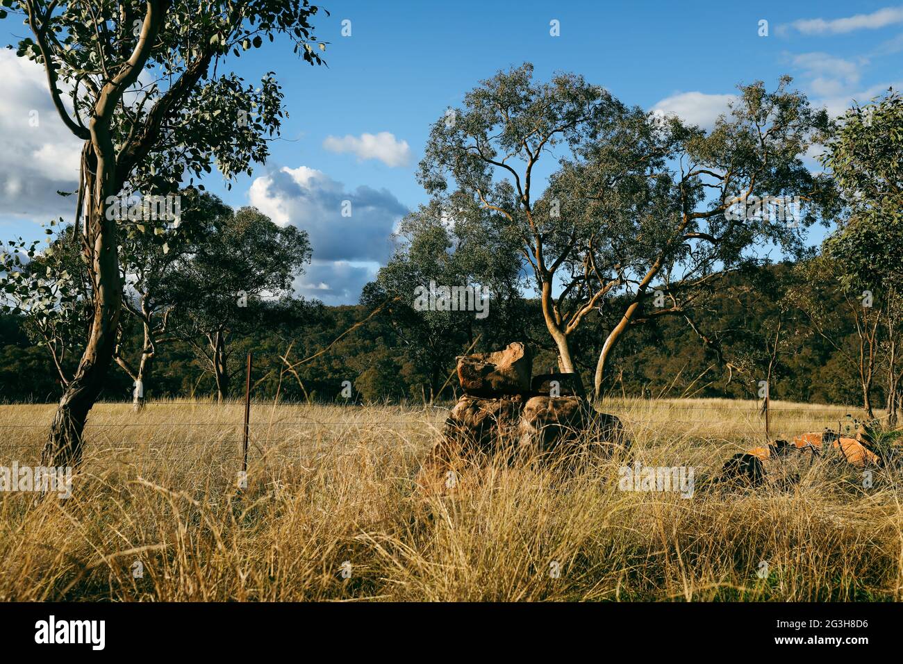 Long grass quarry hi-res stock photography and images - Alamy