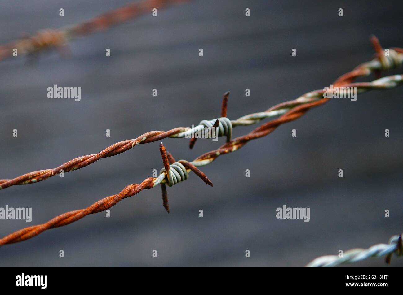 Barbed barrier hi-res stock photography and images - Alamy