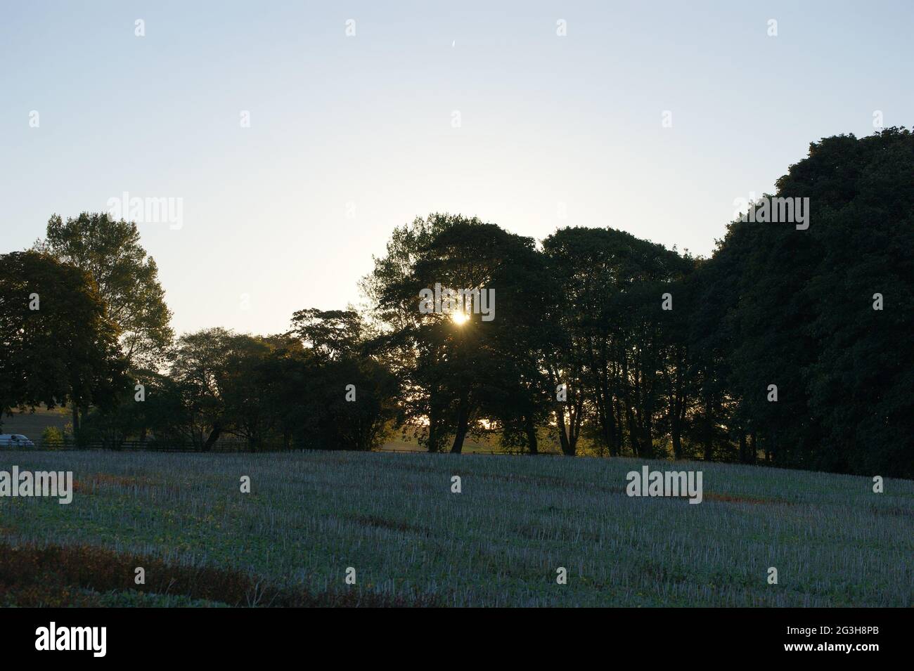 Dawn colours over fields Stock Photo - Alamy