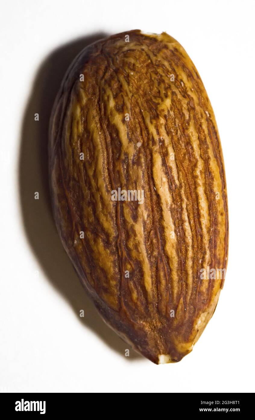 Close up of almond seed on white background, macro photo Stock Photo ...