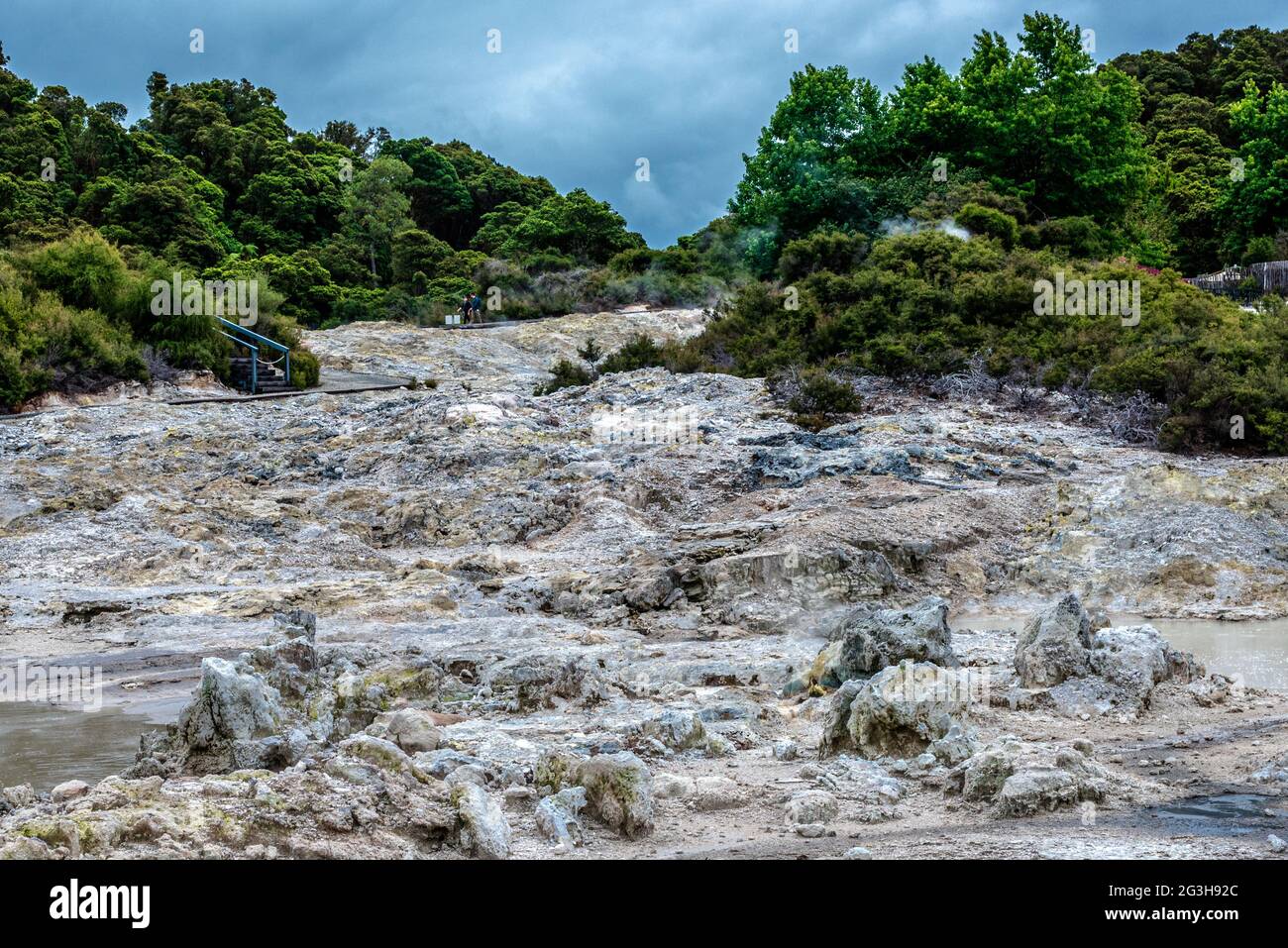 Hell’s gate new zealand hi-res stock photography and images - Alamy