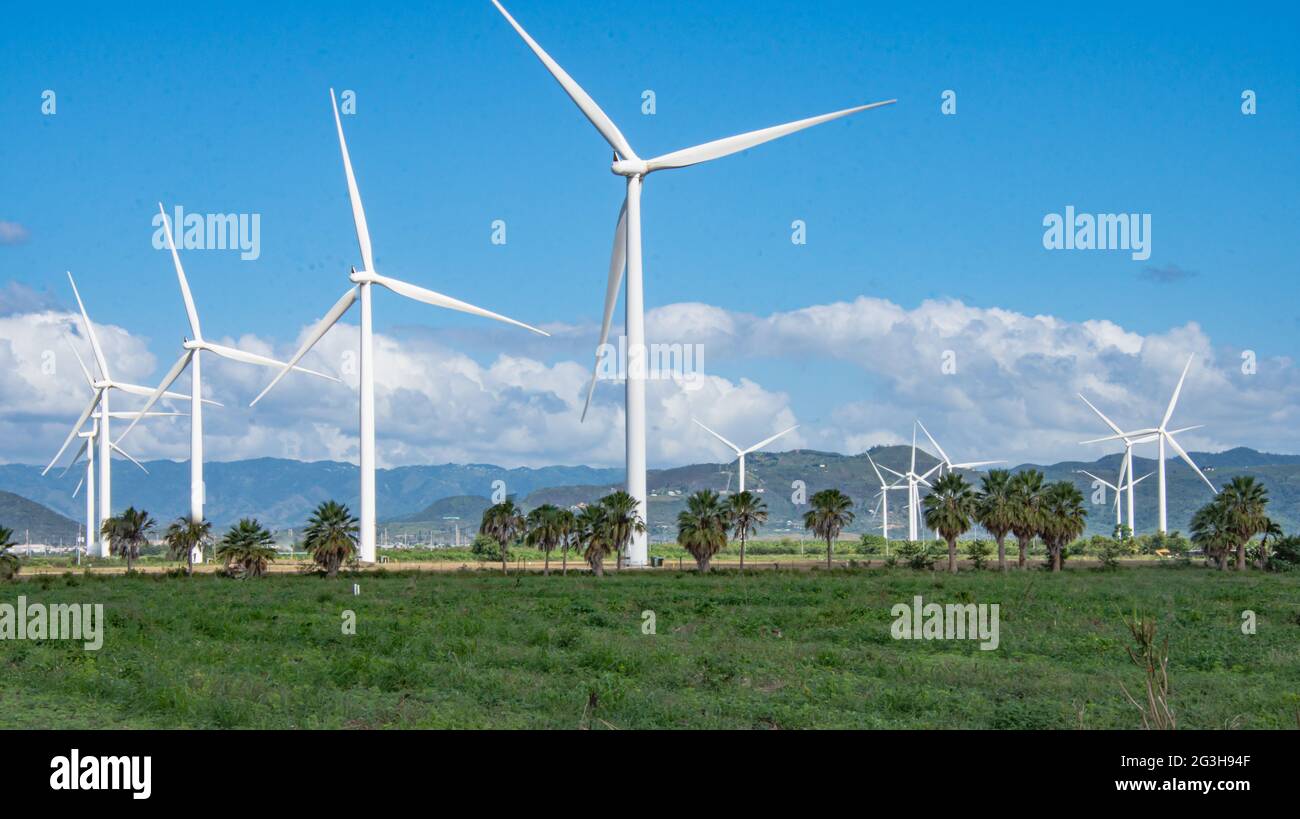 A wind farm generating clean, renewable energy. Puerto Rico, USA. Copy ...