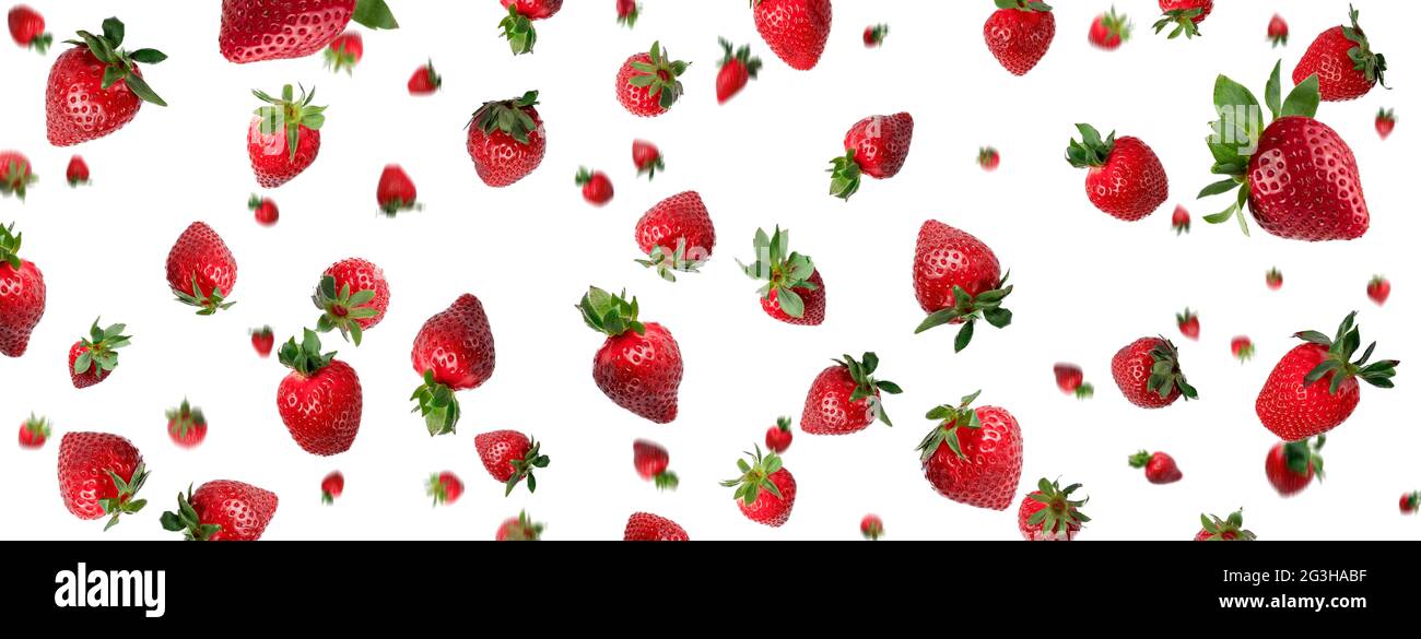 banner with many red fresh whole strawberries falling down above a ...