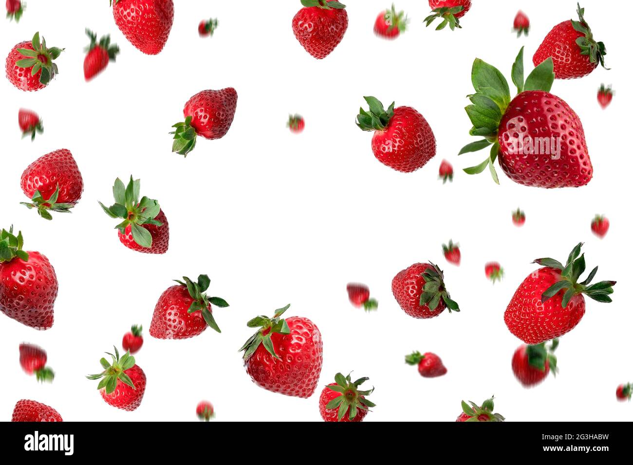 many red fresh whole strawberries falling down above a white background ...