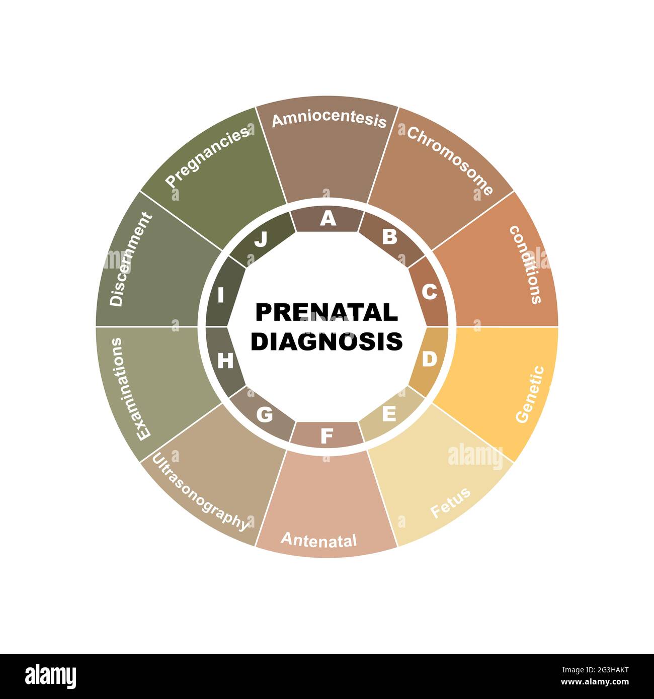Antenatal scan Stock Vector Images - Alamy