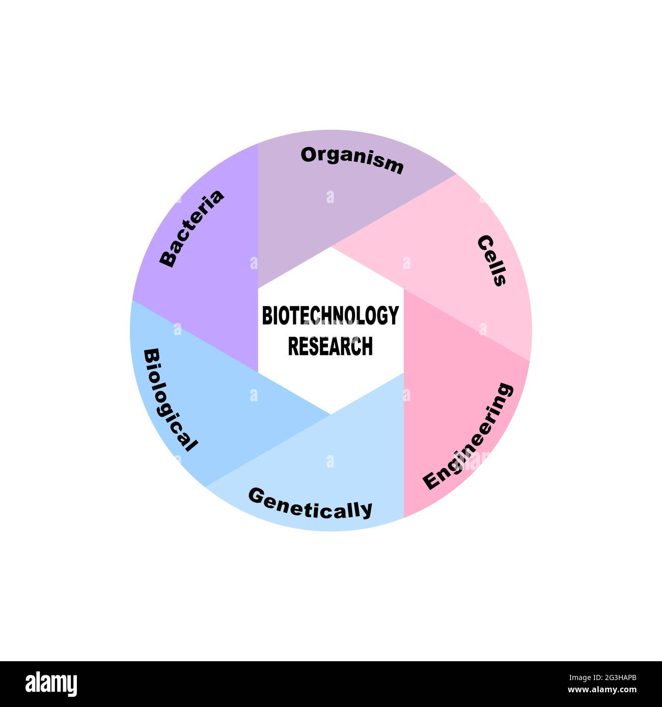Diagram concept with Biotechnology Research text and keywords. EPS 10 ...