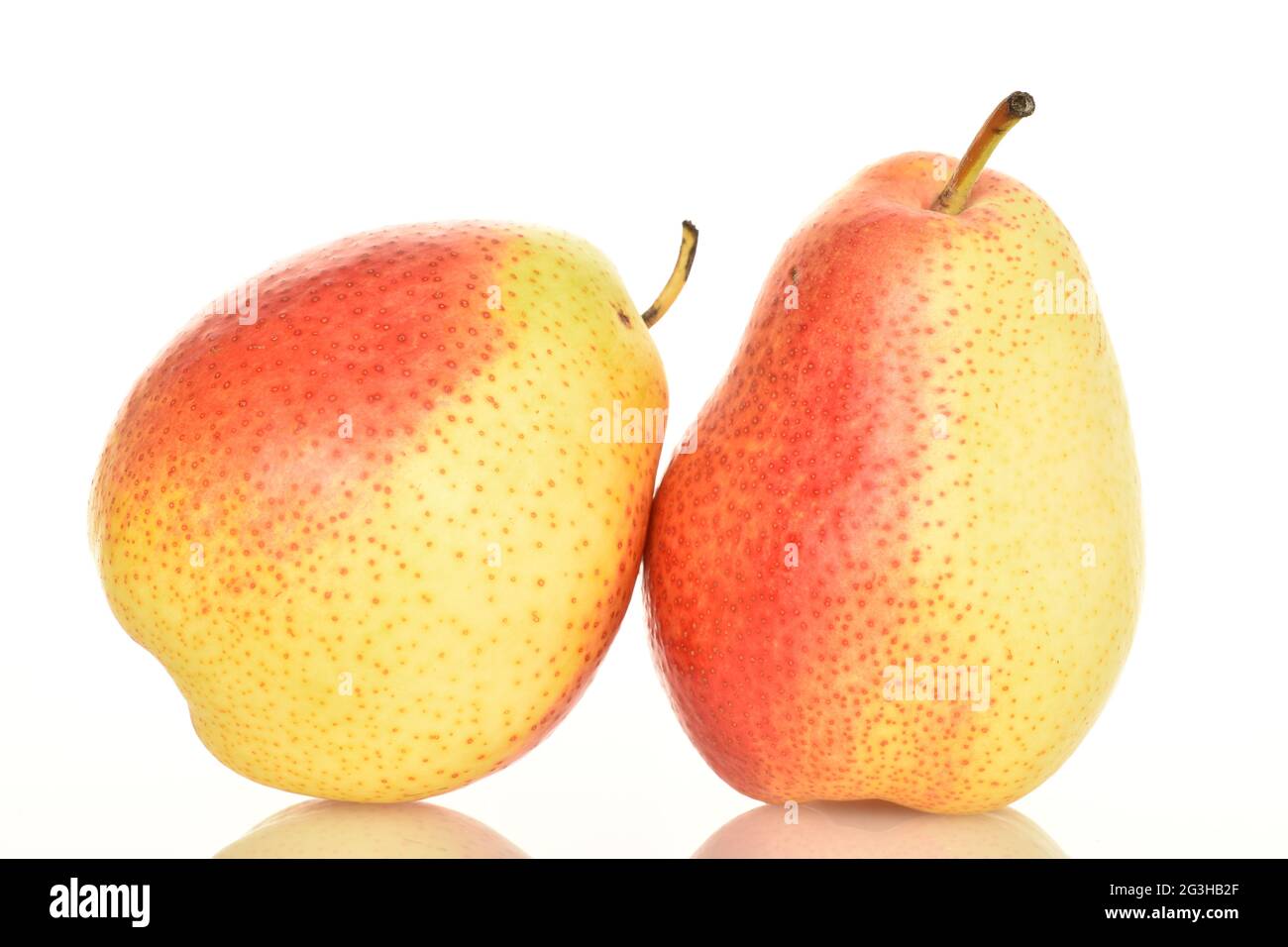 Two yellow-red pears, close-up, on a white background Stock Photo - Alamy