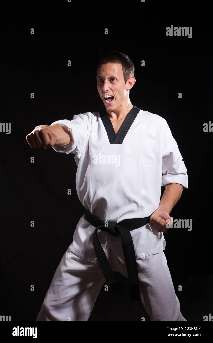Karate punch hi-res stock photography and images - Alamy