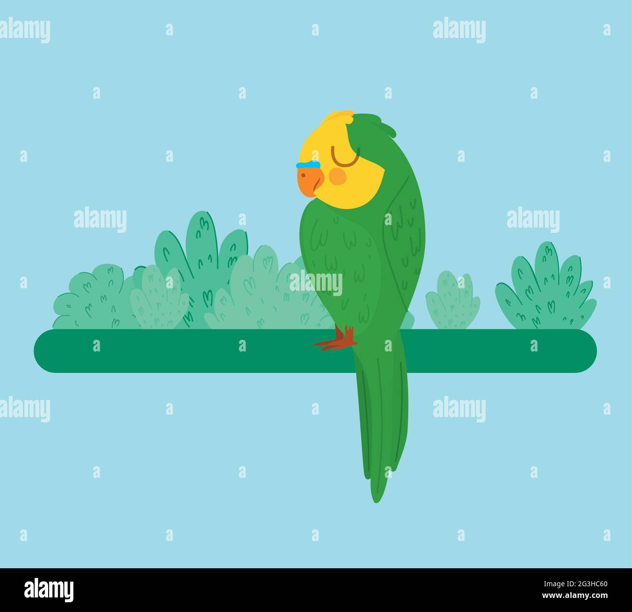 pretty parrot illustration Stock Vector Image & Art - Alamy