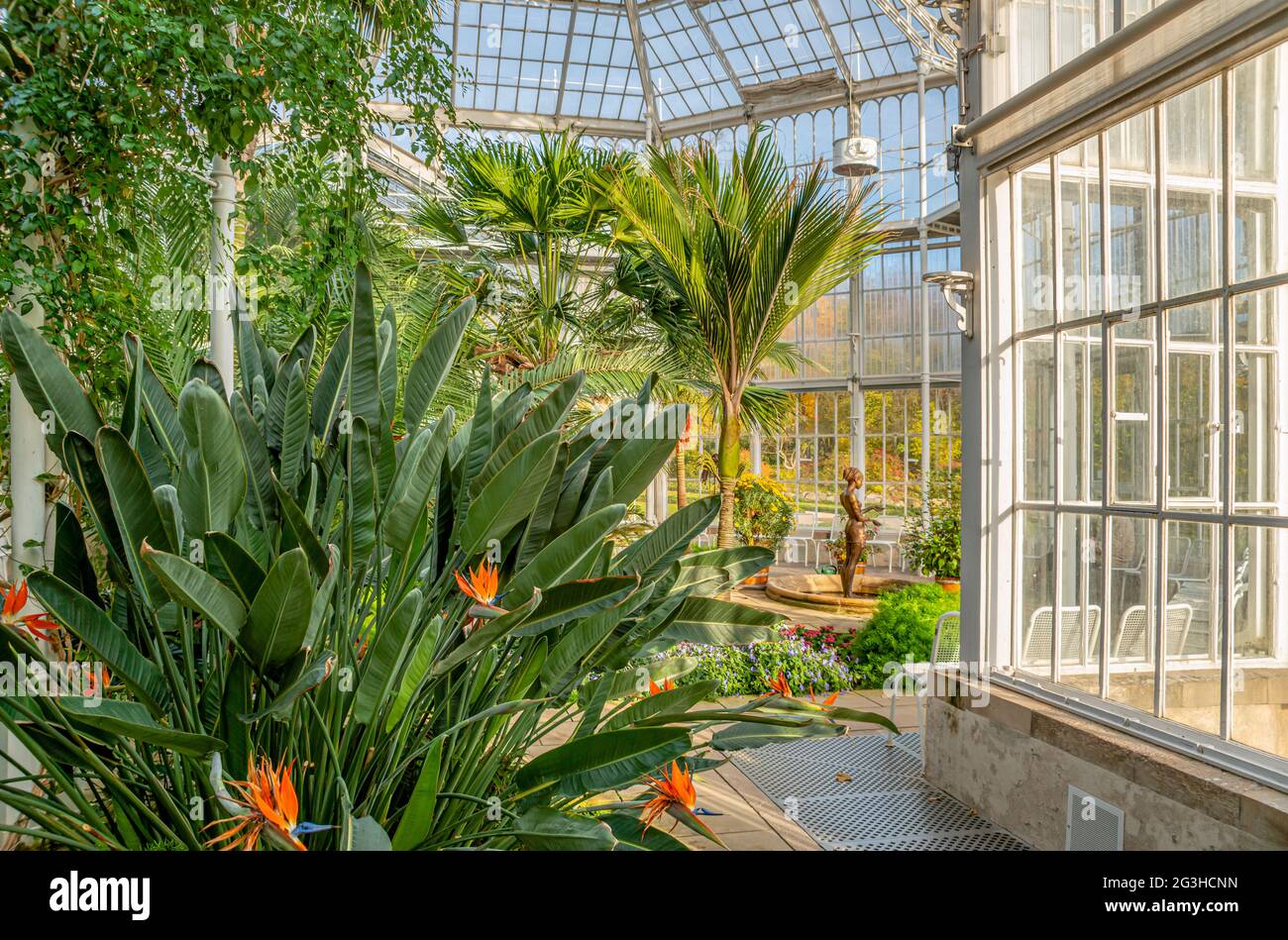 Schloss pillnitz dresden hi-res stock photography and images - Alamy