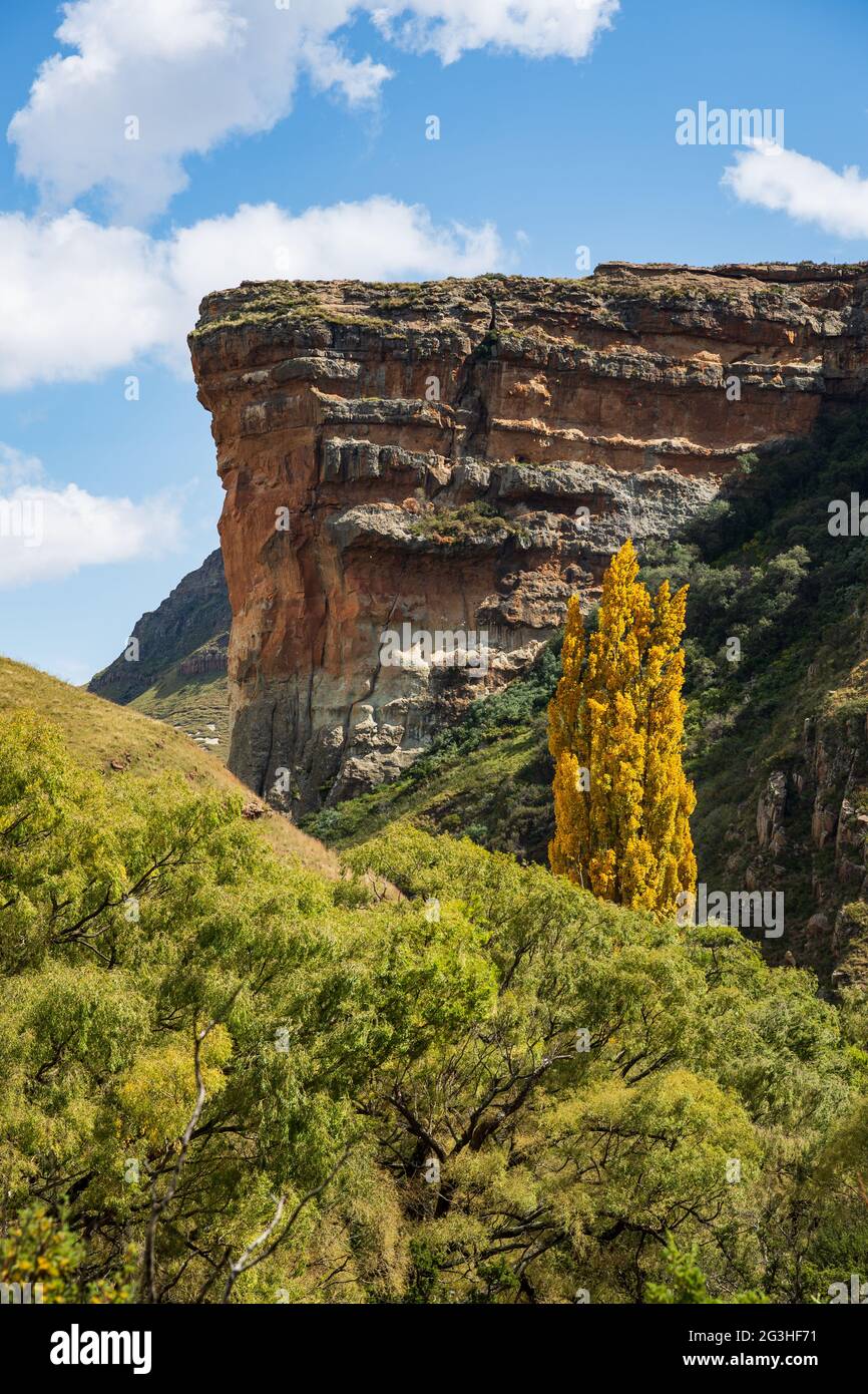 Fall colors in Golden Gate Highlands National Park, Free State, South ...