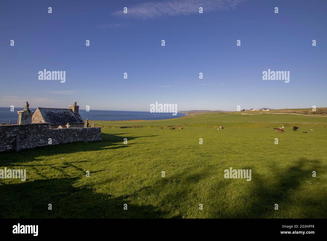Scottish moorland grazing hi-res stock photography and images - Alamy