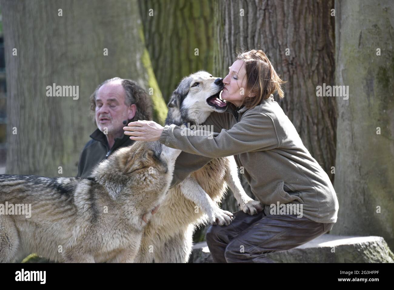 The one who lives with the wolves Stock Photo - Alamy