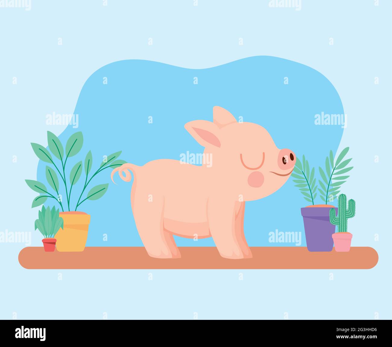 pretty piggy representation Stock Vector Image & Art - Alamy