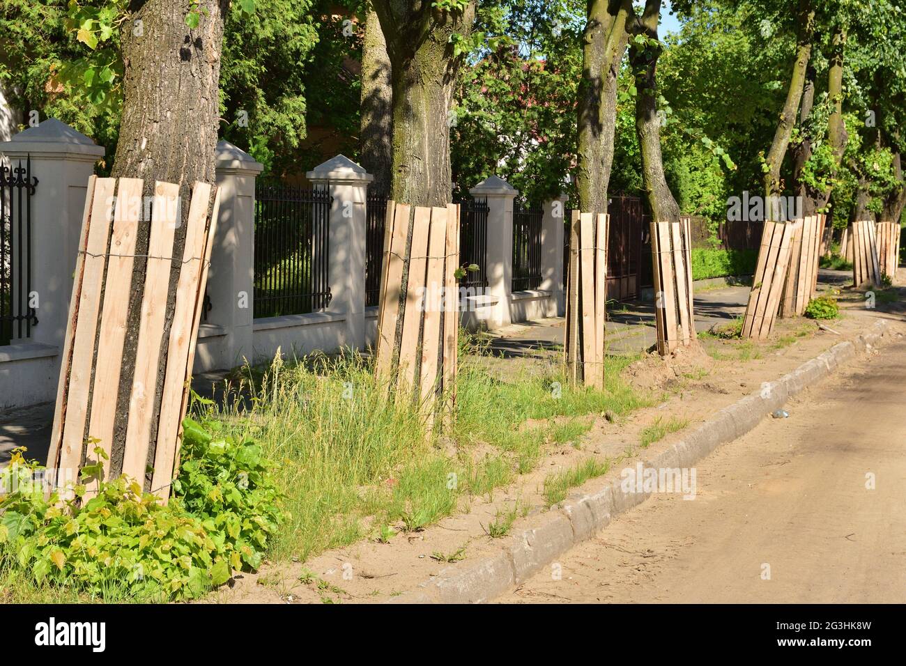 Protection of trees during road renovation in the city. Environment ...