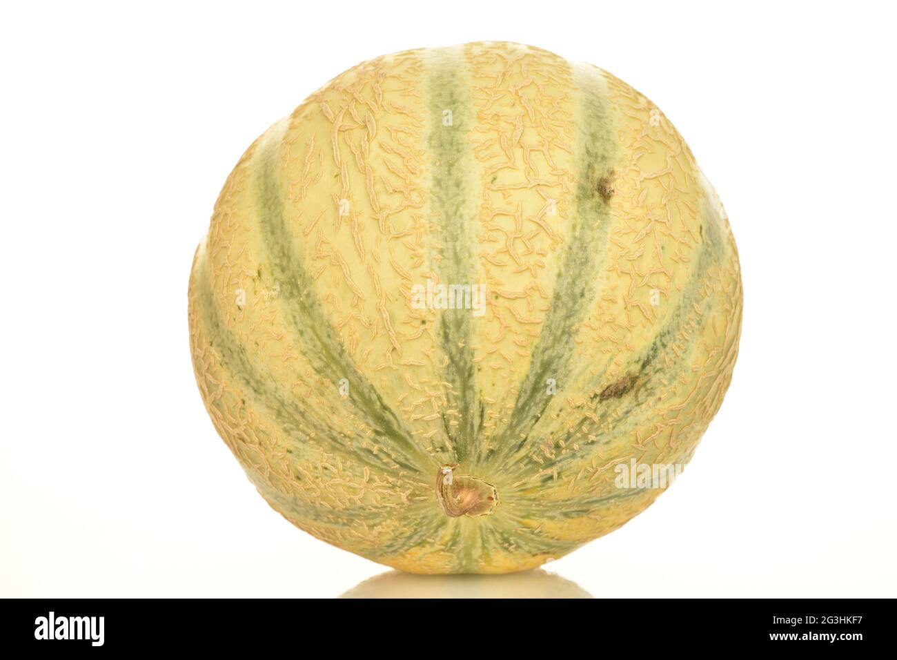 One fragrant organic melon, close-up, on a white background Stock Photo ...
