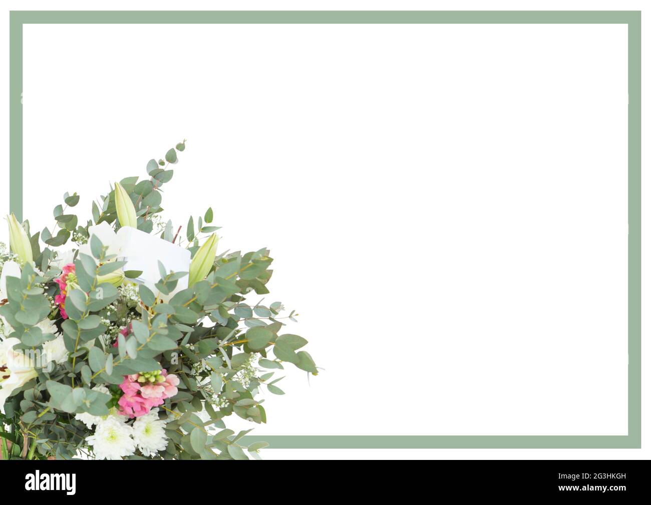 Composition of flowers with green frame and copy space on white ...