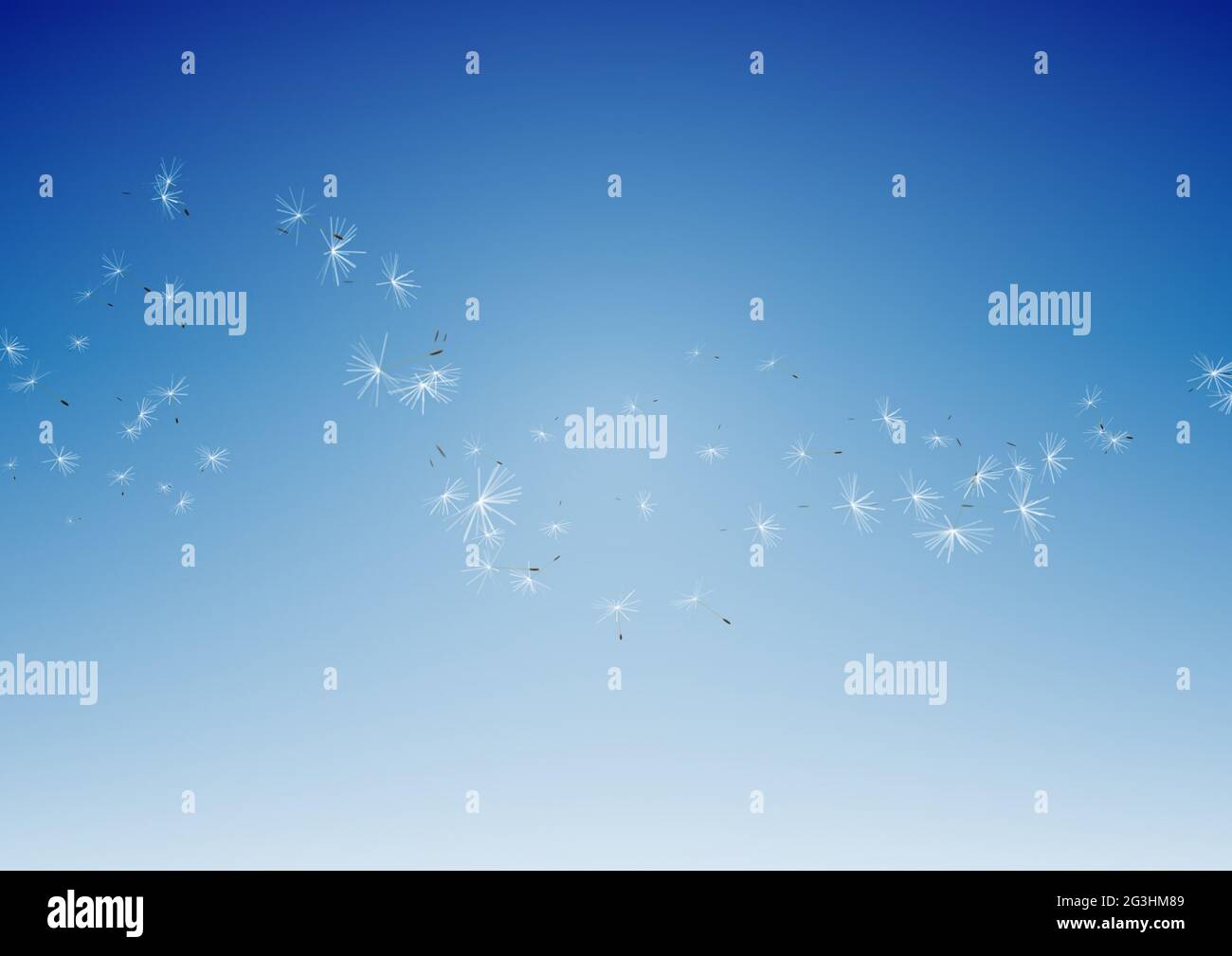 Tree seed floating in water hi-res stock photography and images - Alamy