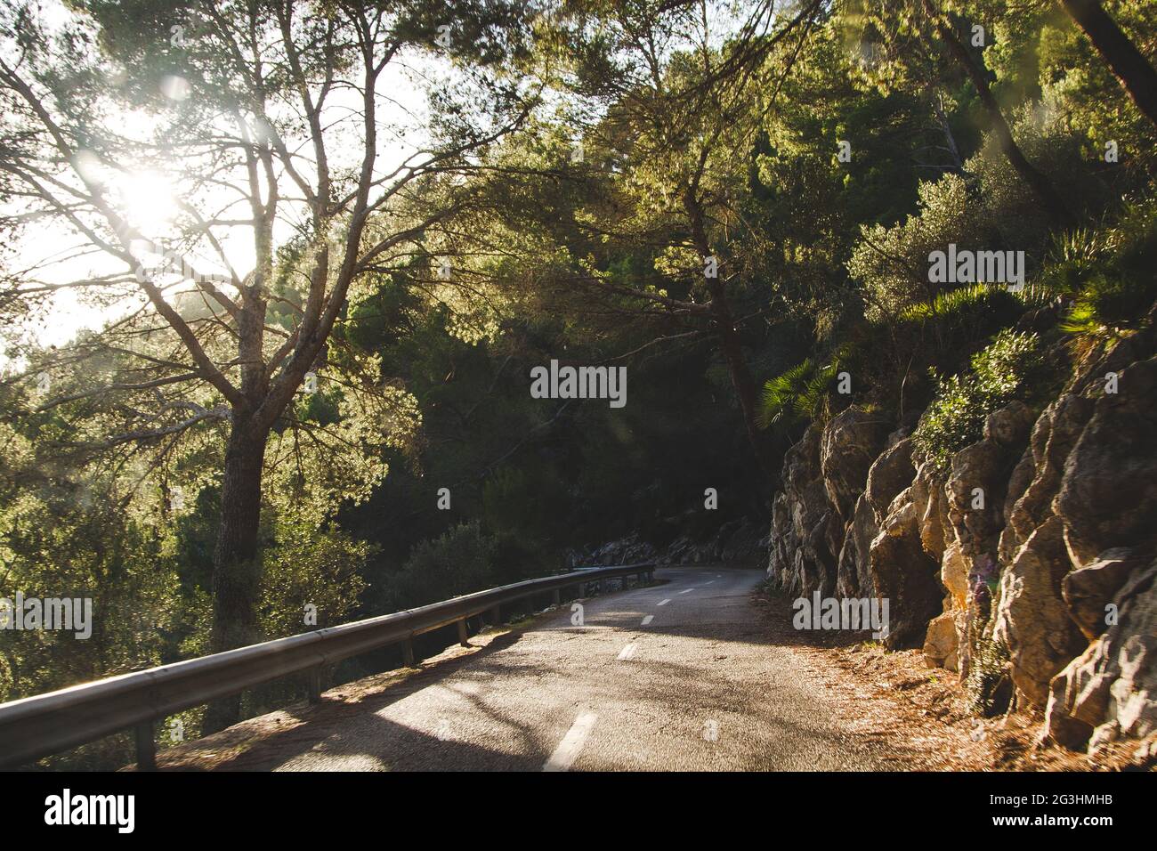 Car golden hour hi-res stock photography and images - Alamy
