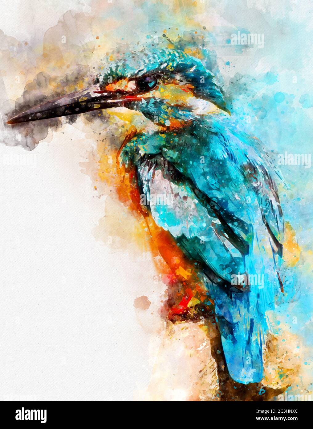 watercolour painting of common kingfisher (Alcedo atthis Stock Photo ... watercolour painting of common kingfisher (Alcedo atthis Stock Photo ...