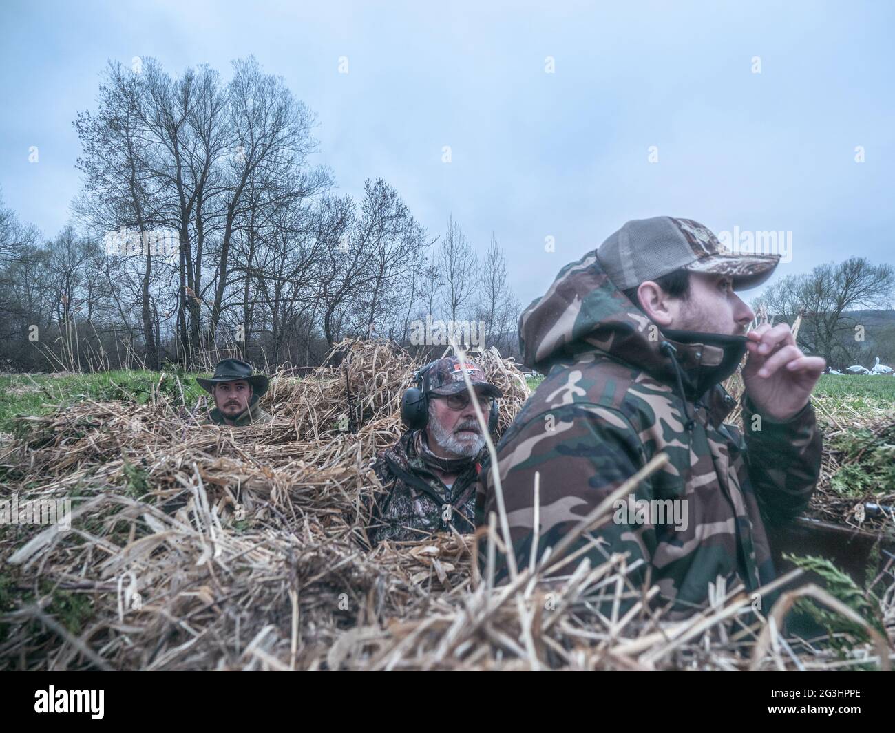 Hunting wild geese ducks snow geese goose hunt Stock Photo - Alamy