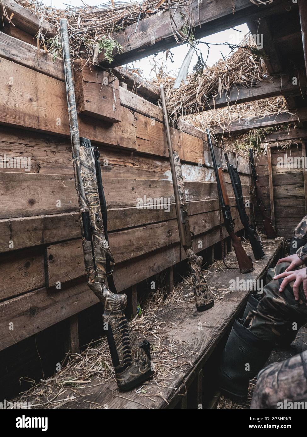 Hunting wild geese ducks snow geese goose hunt Stock Photo - Alamy