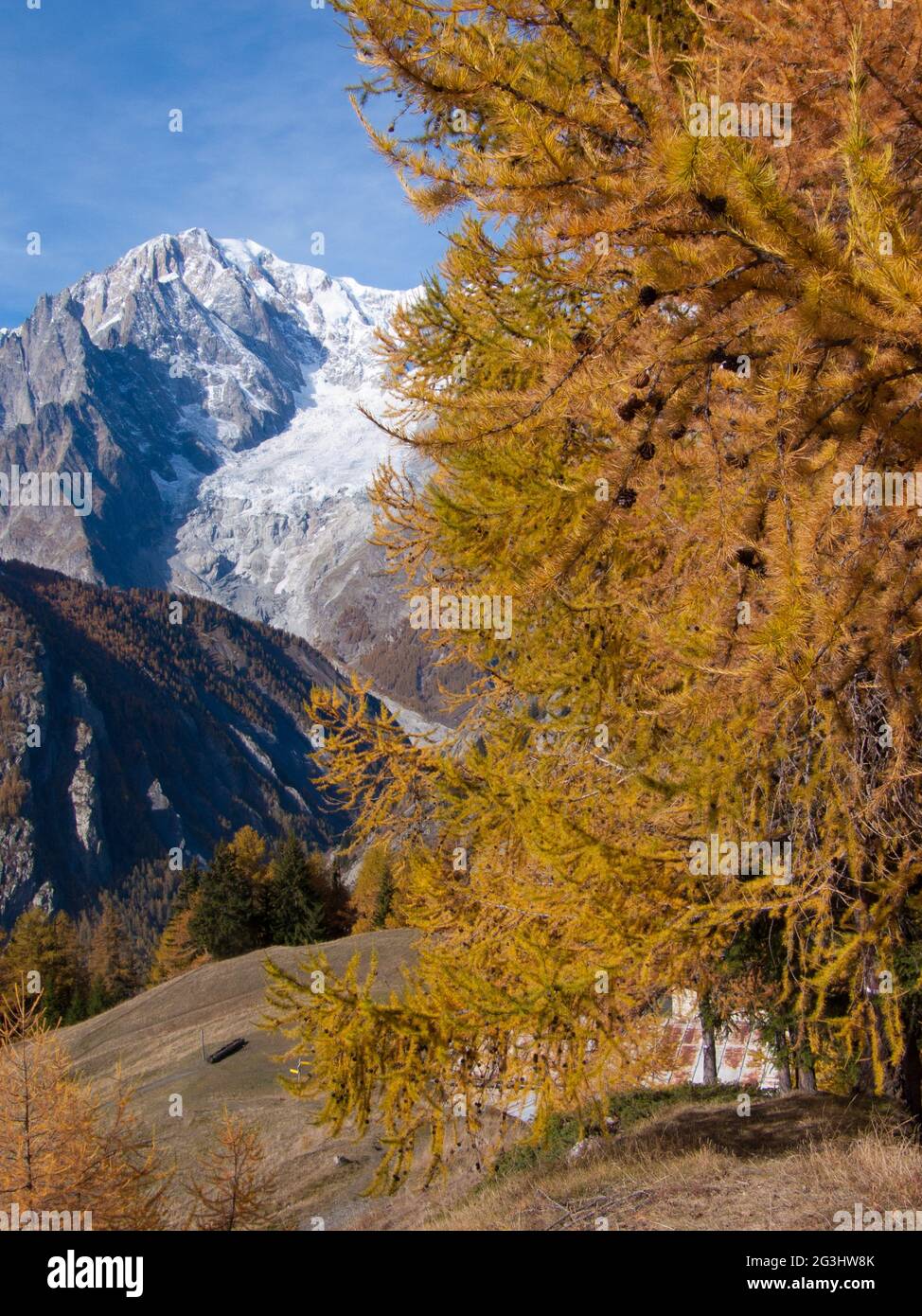 Italian ecosystems hi-res stock photography and images - Alamy