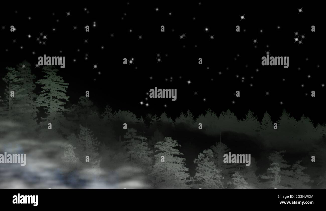 Landscape of misty forest at night Stock Photo - Alamy