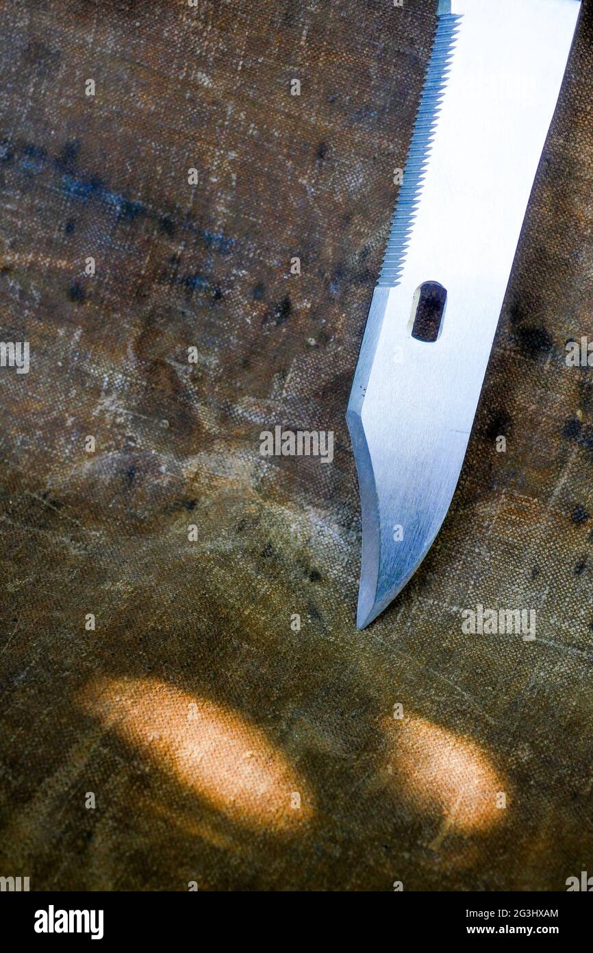 Vintage Swiss army gun knife, Still life Stock Photo - Alamy