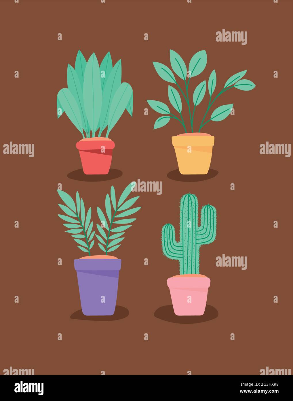 four plants items Stock Vector Image & Art - Alamy