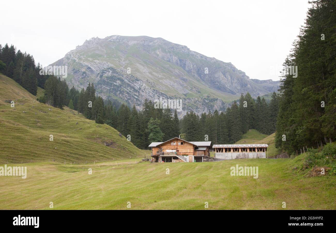 Typical farm in the swiss alps hi-res stock photography and images - Alamy