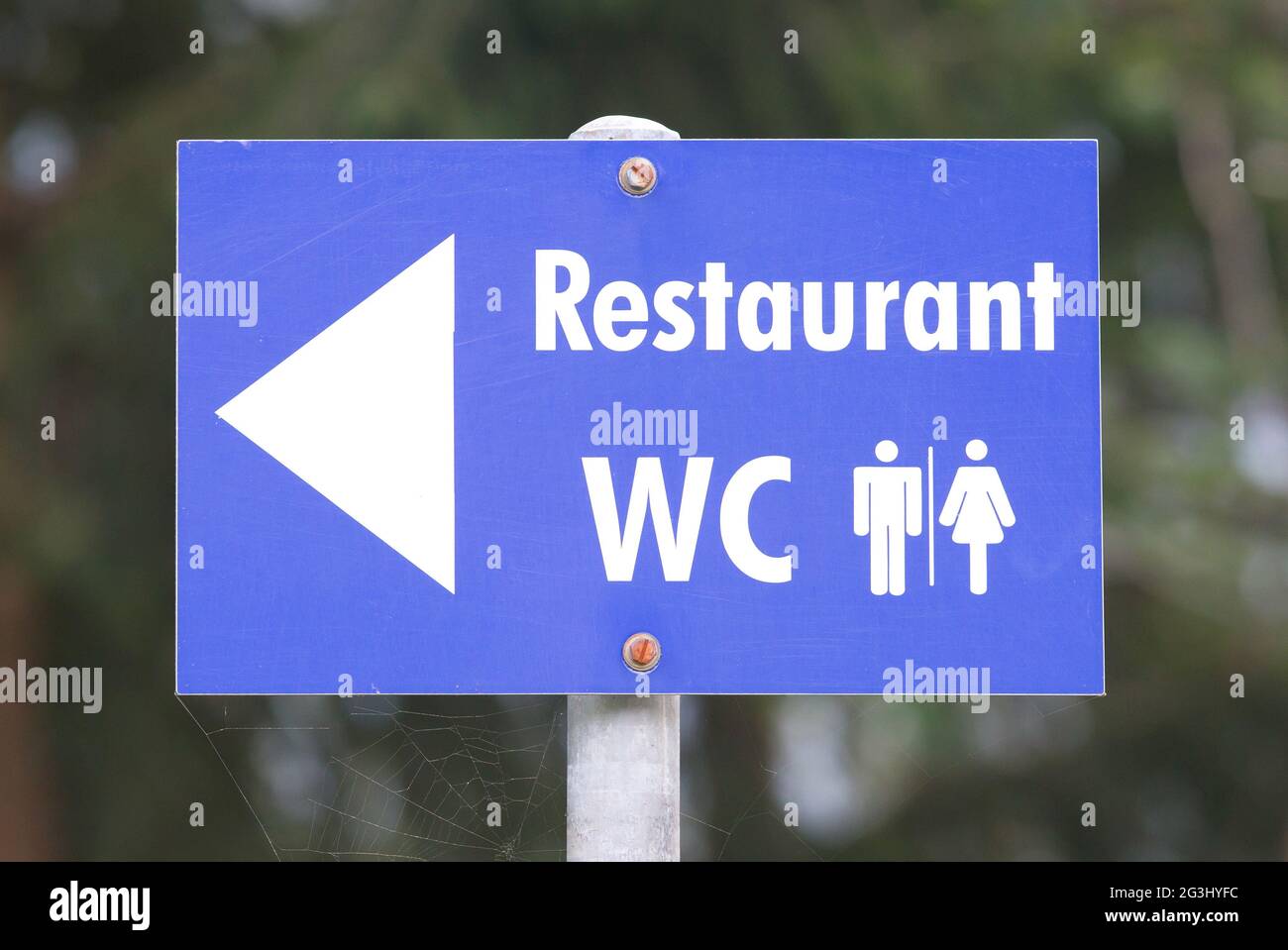 Vintage toilet blue toilets hi-res stock photography and images - Alamy