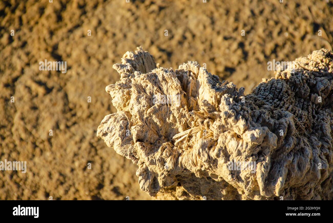 A wooden crumbling post on the lake for the extraction of salt. Salt ...