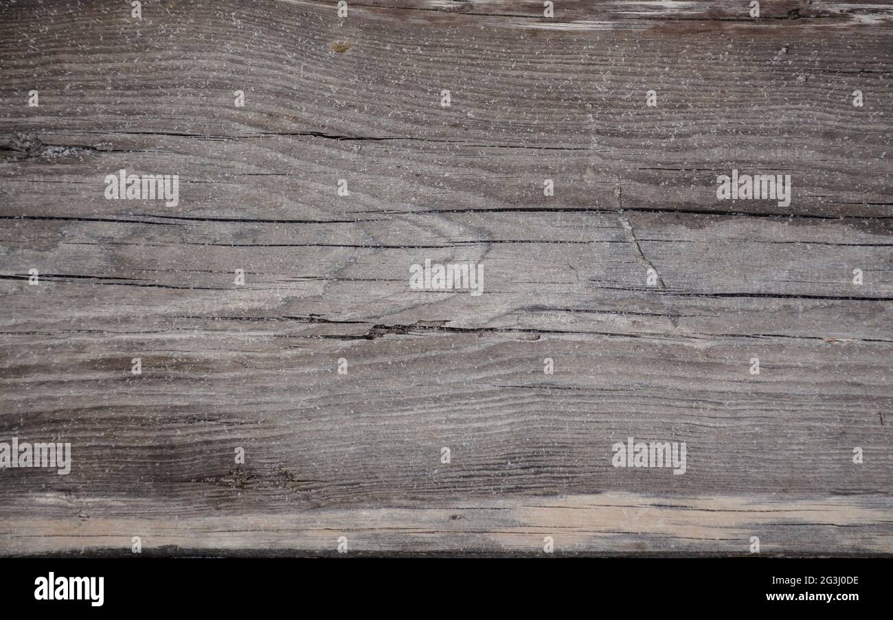 Rustic old wooden logs texture natural background. Dark wood background ...
