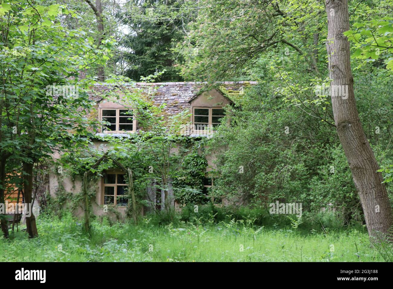 Abandoned Cottage in the woods Stock Photo - Alamy